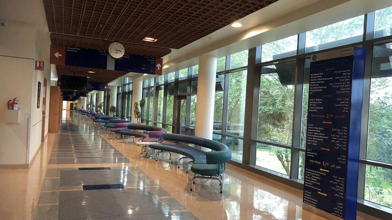 新穎生醫曾錙翎：直擊中東大健康新金礦 糖尿病腎病變檢測需求一觸即發-環球生技月刊